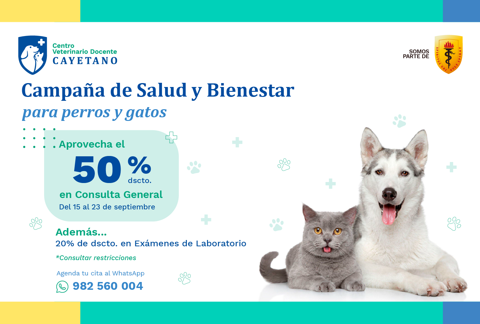 Campaña de Salud y Bienestar para perros y gatos – Facultad de ...