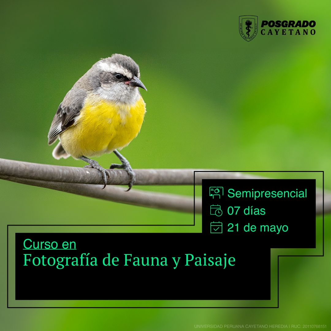 Curso Especializado de Fotografía de Fauna y Paisaje – Facultad de ...